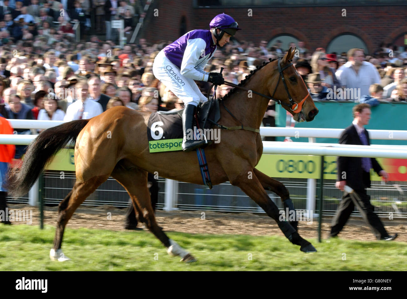 Horse Racing - Cheltenham Festival 2005 - Cheltenham Racecourse Stock ...