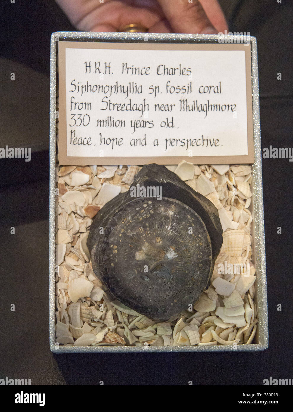 The Prince of Wales who was presented with a 330milion year old fossil ...