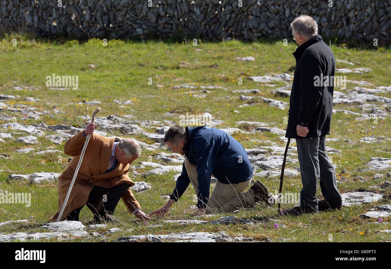 The Prince of Wales and Brendan Dunford study the flowers and the ...