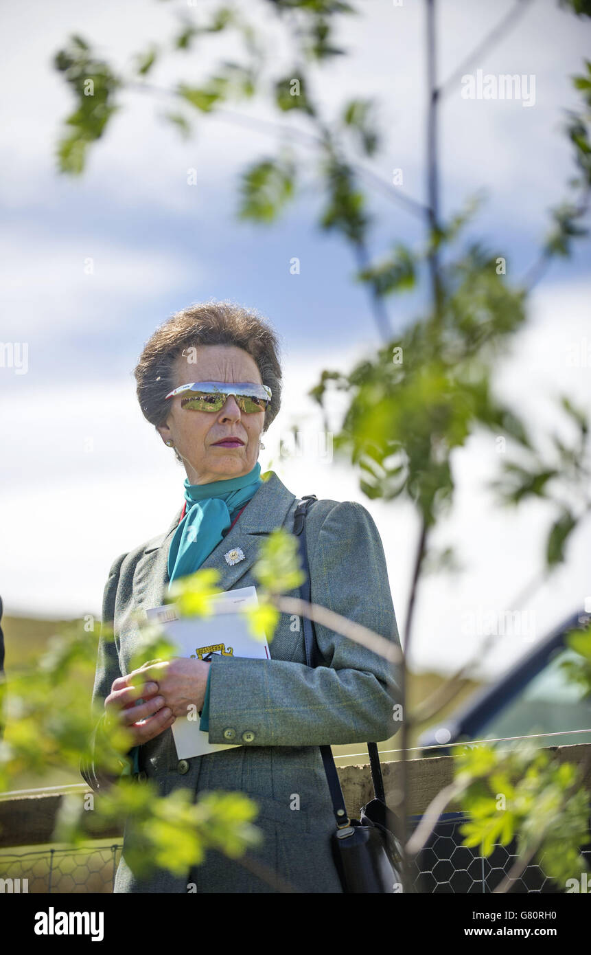 The Princess Royal plants a rowan tree to complete a grove within the ...