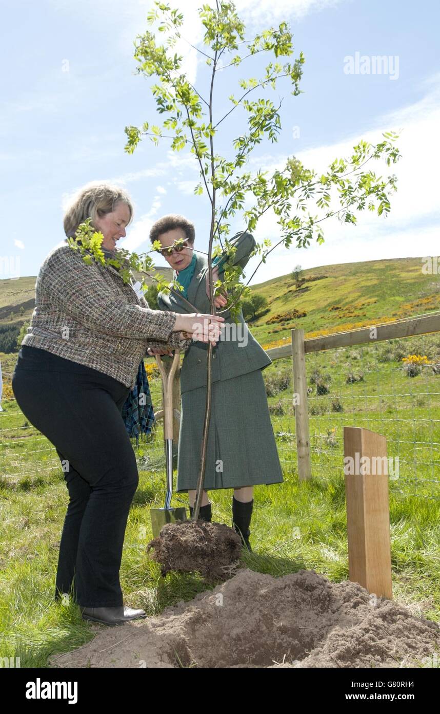 The Princess Royal is helped by Beccy Speight, CEO of Woodland Trust ...