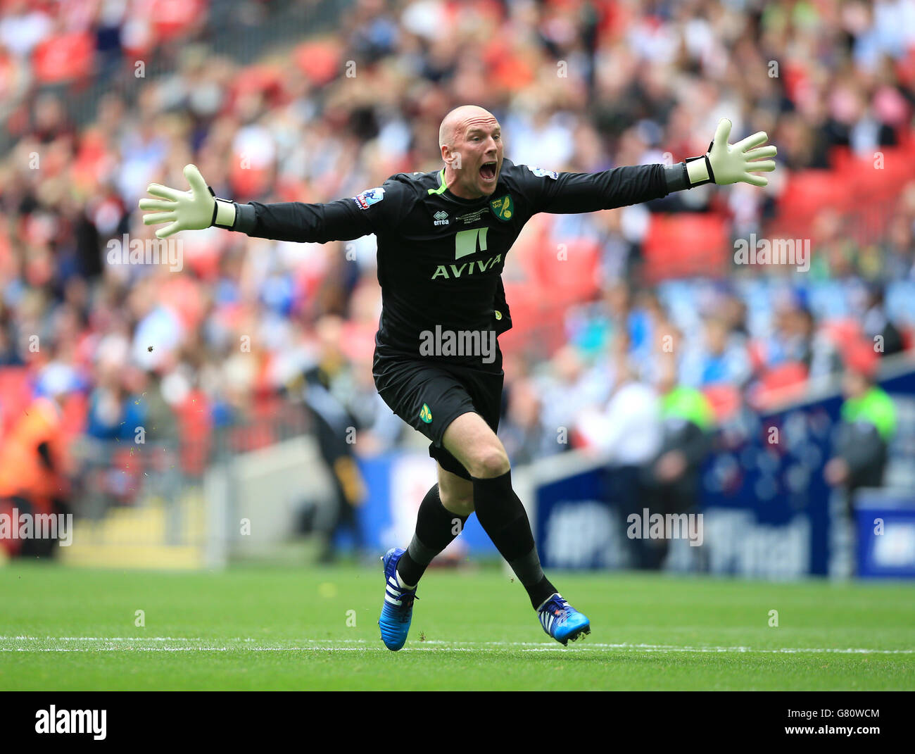 Norwich City goalkeeper John Ruddy celebrates after team-mate Nathan ...