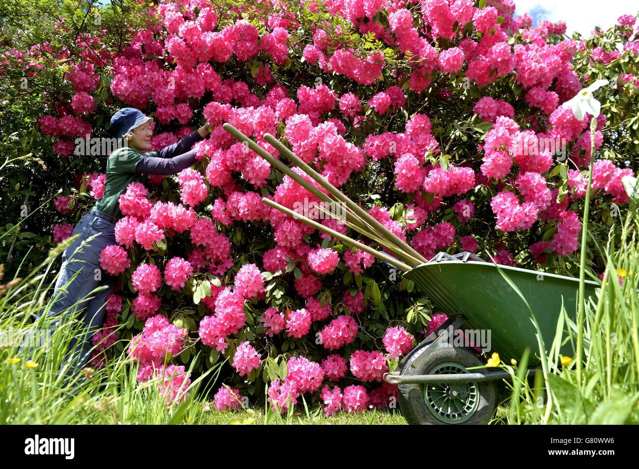 Spring weather May 28th 2015 Stock Photo - Alamy