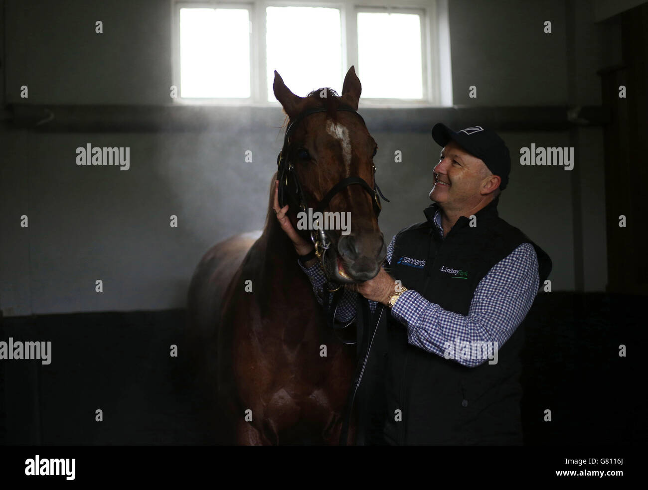 Australian trainer david hayes horse criterion after workout ascot ...