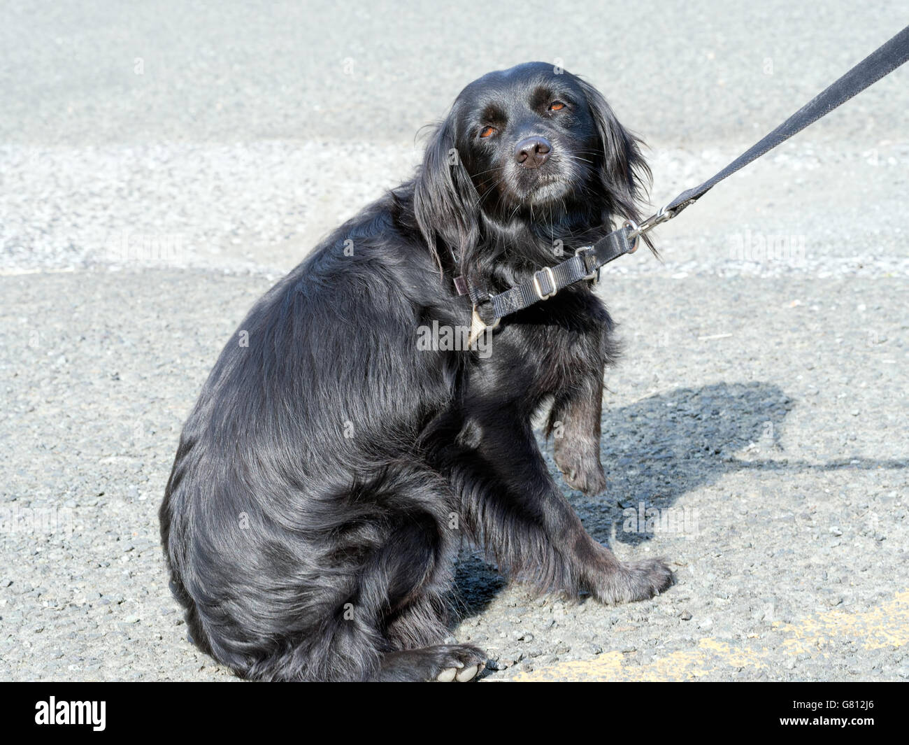 Scared eyes hi-res stock photography and images - Alamy