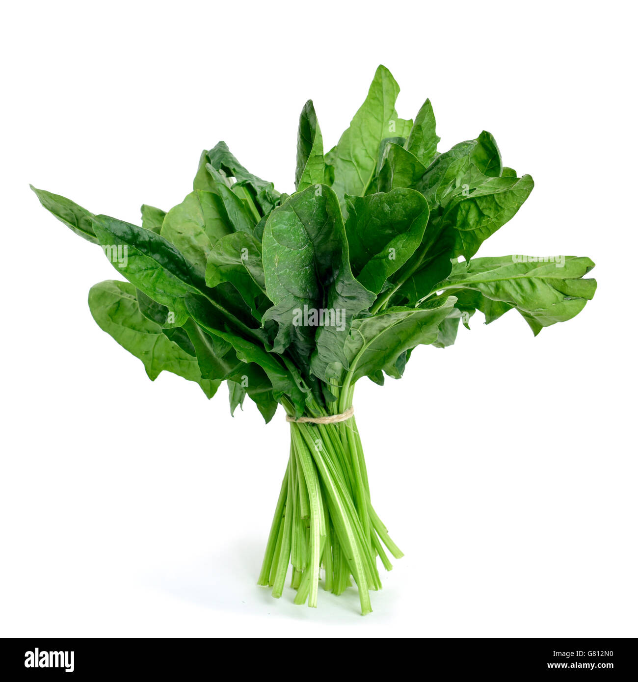 Spinach leaves hi-res stock photography and images - Alamy