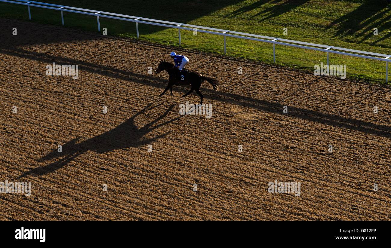 Horse racing chelmsford city racecourse hi-res stock photography and ...