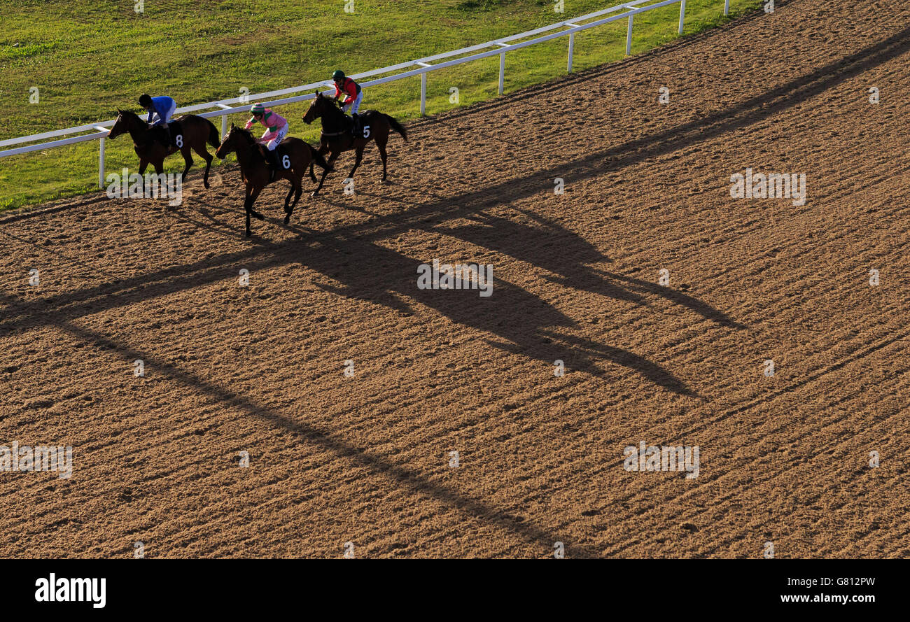 Horse racing chelmsford city racecourse hi-res stock photography and ...