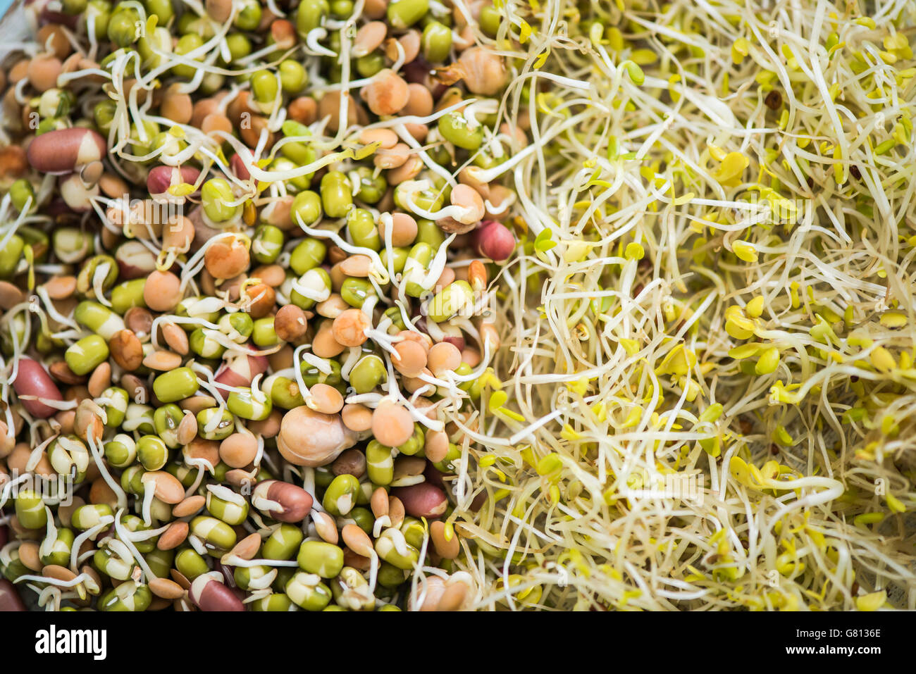 healthy sprouts on bright background, healthy eating Stock Photo - Alamy