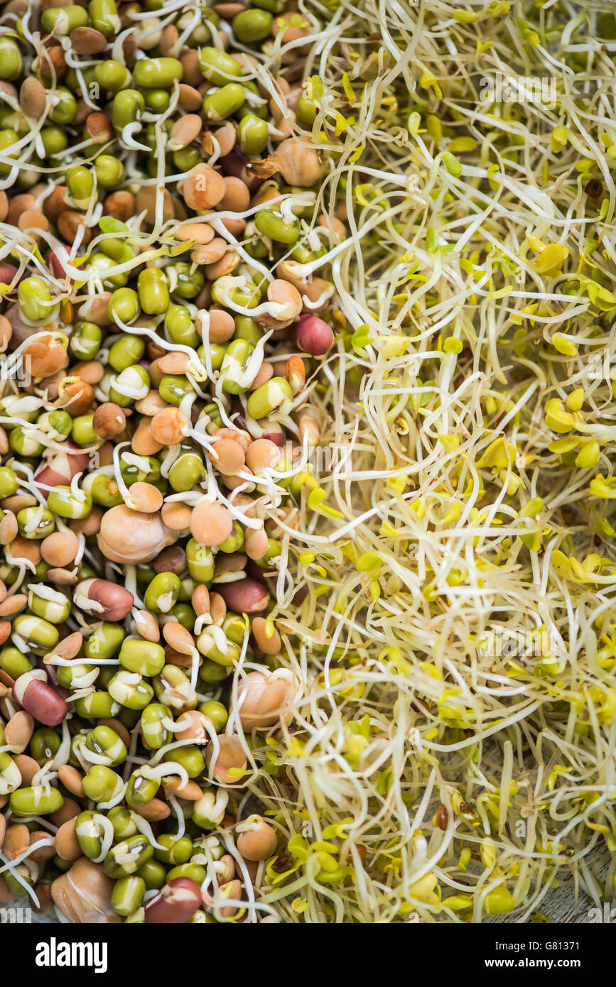 healthy sprouts on bright background, healthy eating Stock Photo - Alamy