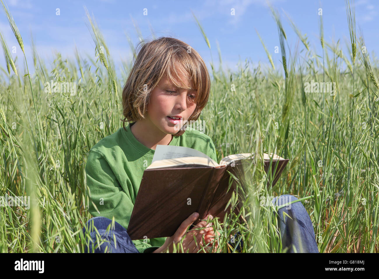 Boy reading bible hi-res stock photography and images - Alamy