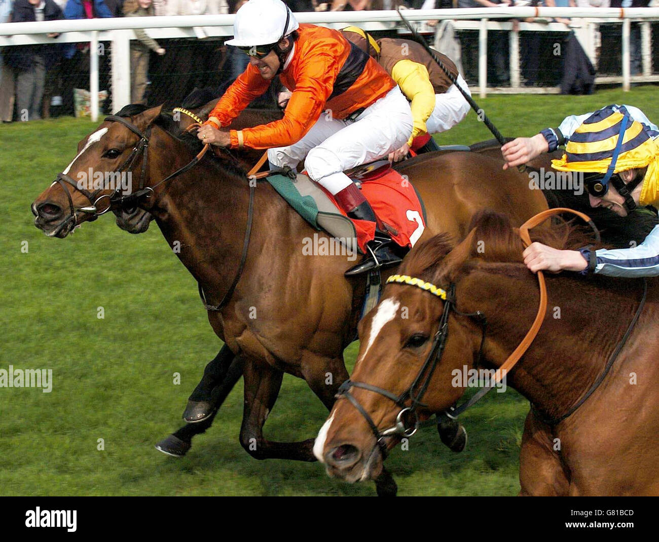Horse Racing - Stanleybet Lincoln Meeting - Doncaster Racecourse Stock ...