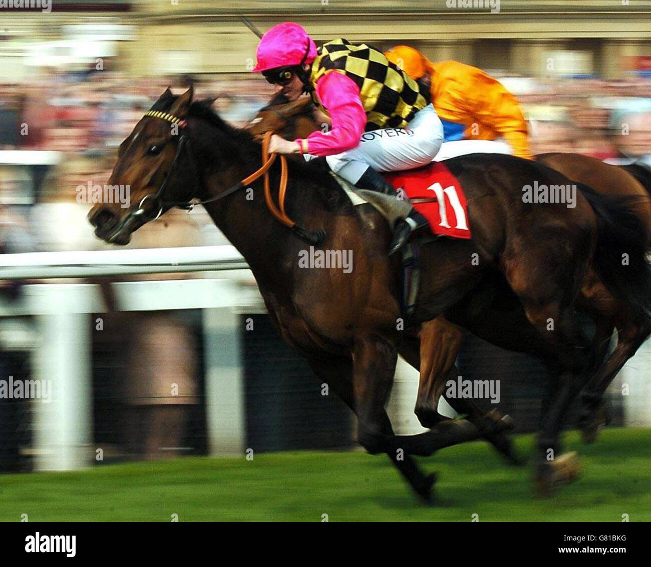 Horse Racing - Doncaster Races - Stanleybet Lincoln Handicap Stock ...