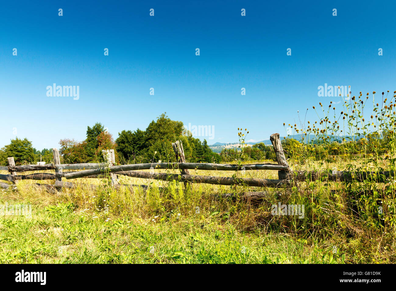 Wooden fence in the nature, garden, texture Stock Photo - Alamy