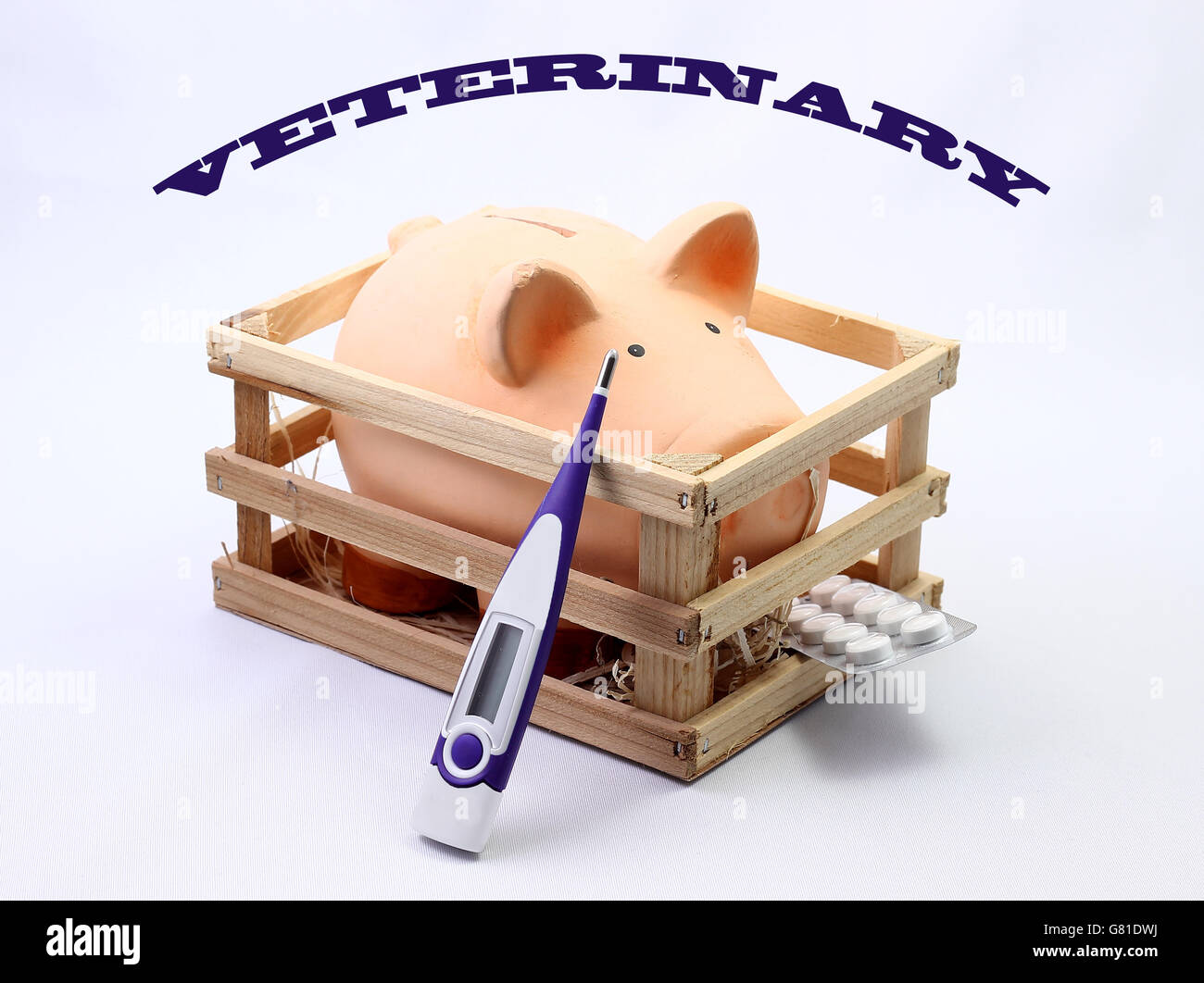 Swein flu, pig veterinary medicine Stock Photo - Alamy