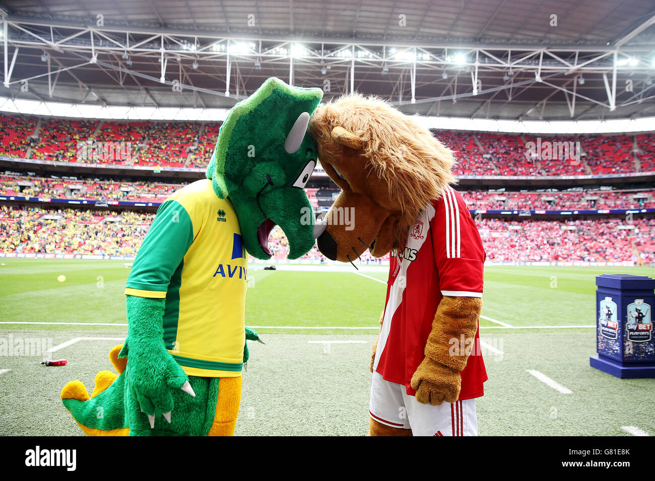Norwich city community sports foundation mascot hi-res stock ...