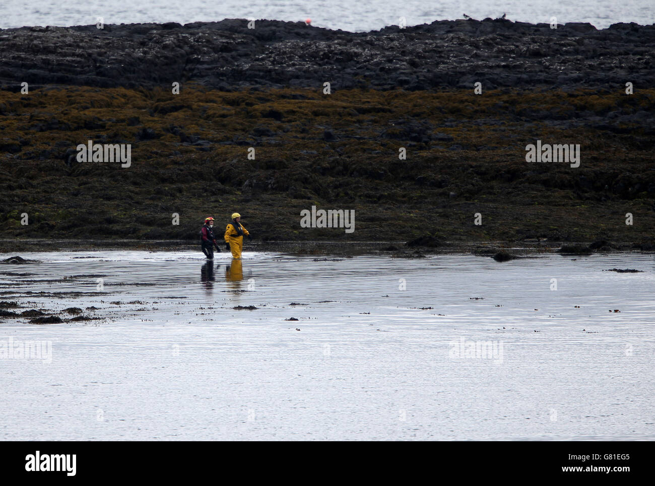 British Divers Marine Life Rescue walk through shallow waters to tend ...