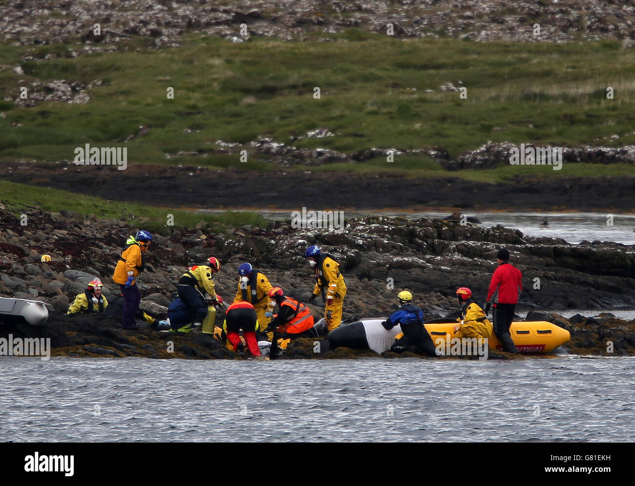 British Divers Marine Life Rescue attempt to refloat stranded pilot ...