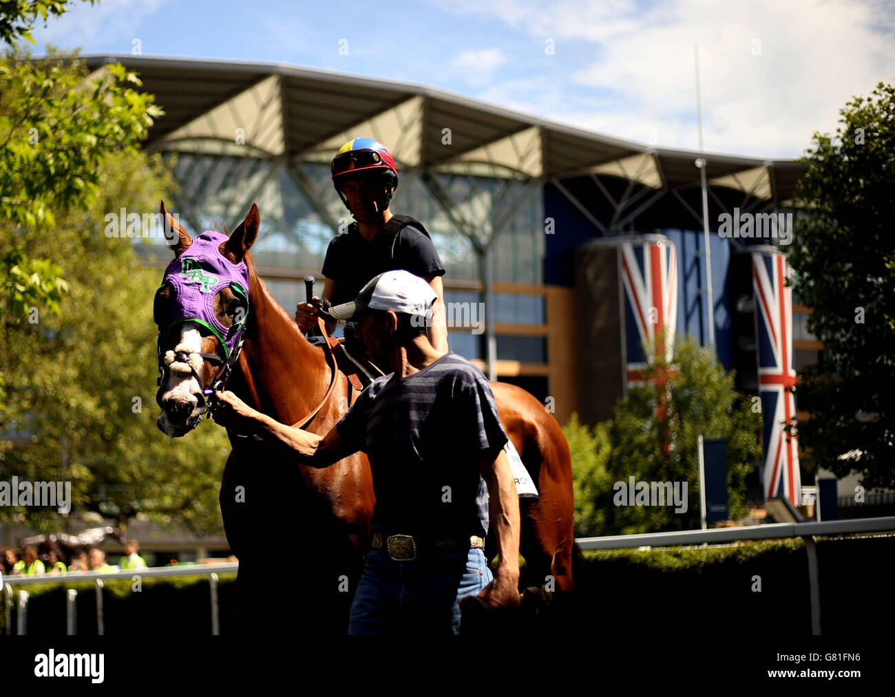Horse Racing - California Chrome Work Out - Ascot Racecourse Stock ...