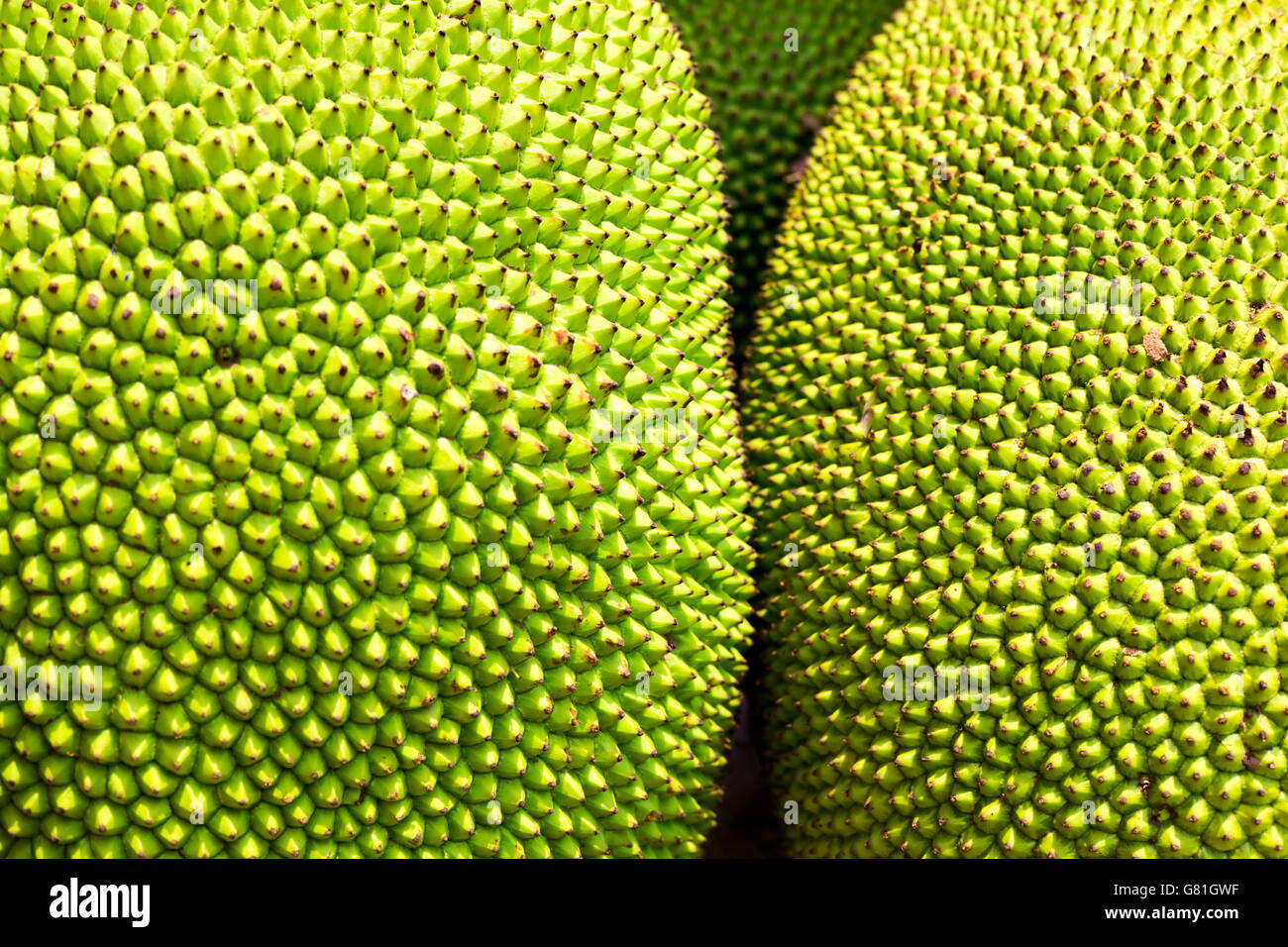 Un color tropical hi-res stock photography and images - Alamy