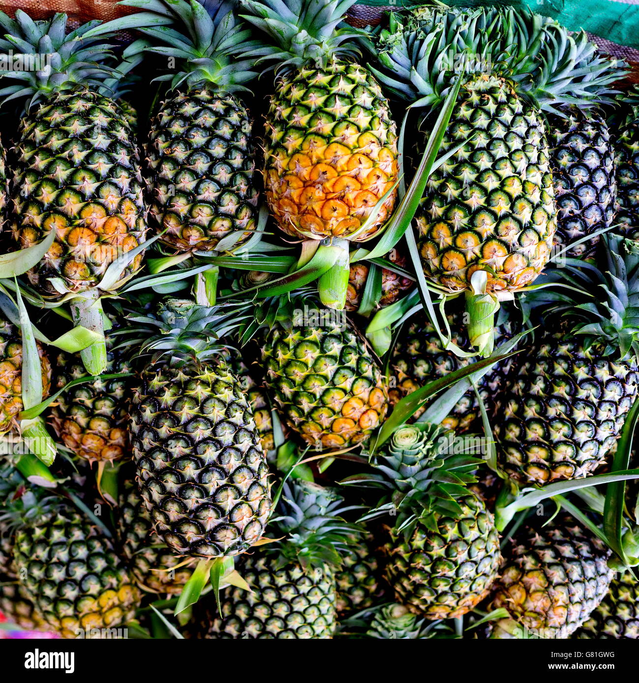 Gold pineapple isolated hi-res stock photography and images - Alamy