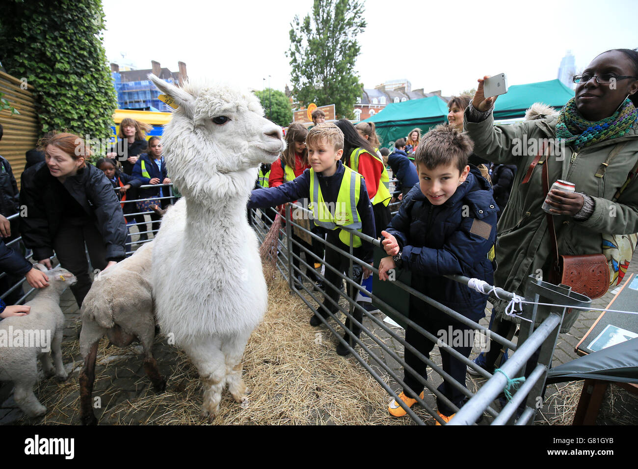 Children animals city farm hi-res stock photography and images - Alamy