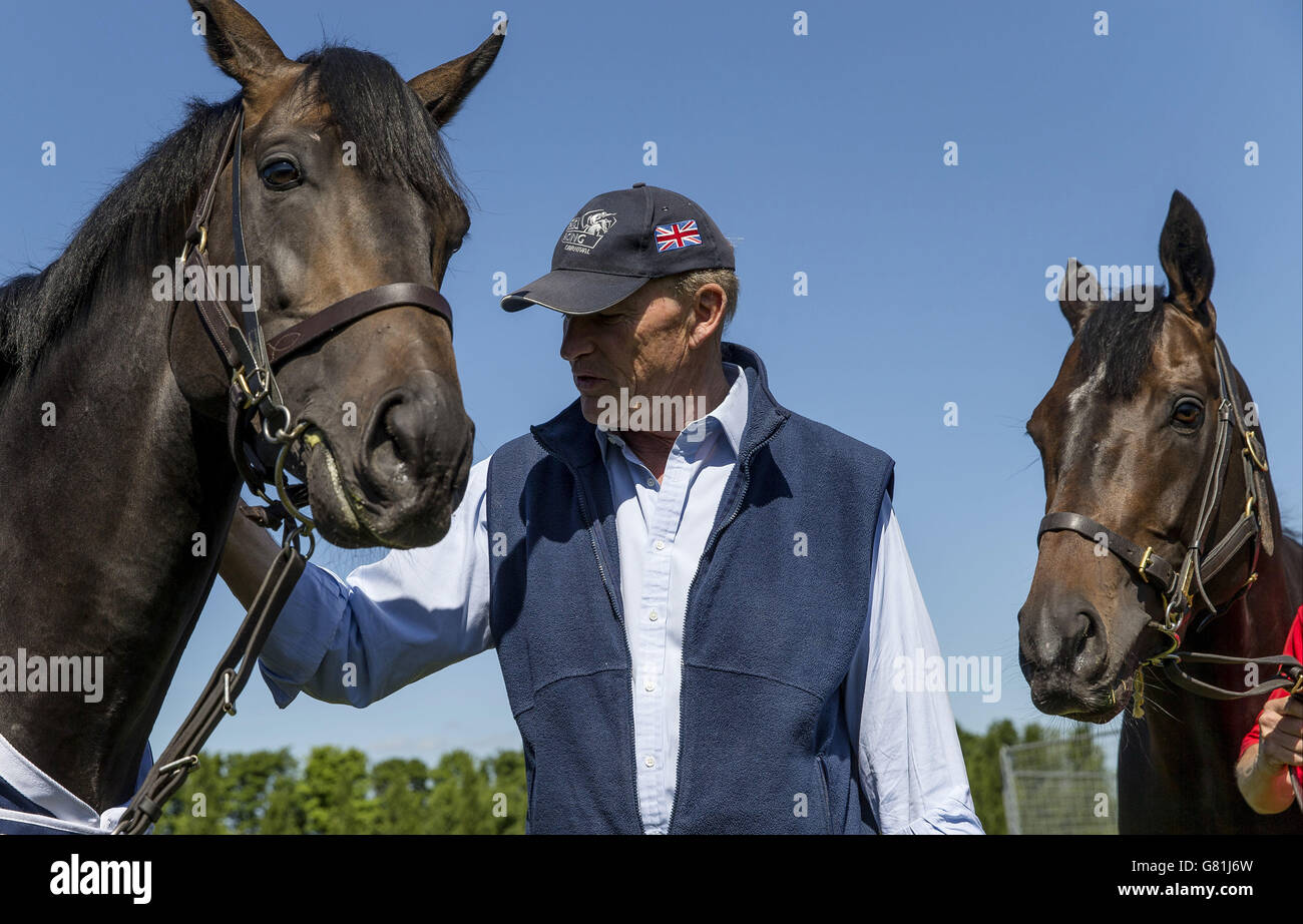 Epsom derby winner golden horn during photocall at clarehaven stables ...