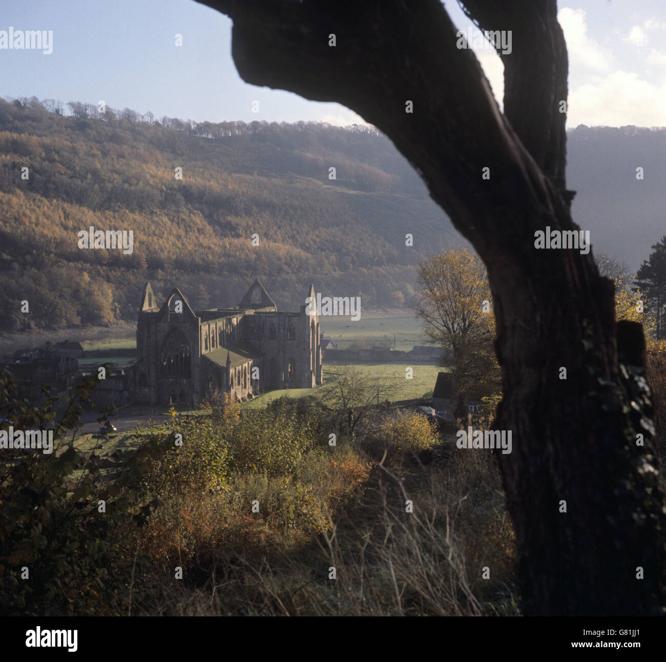 Buildings and landmarks tintern abbey monmouthshire hi-res stock ...