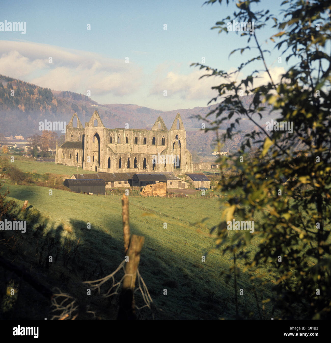 Tintern Abbey - Monmouthshire. Tintern Abbey in Monmouthshire Stock ...