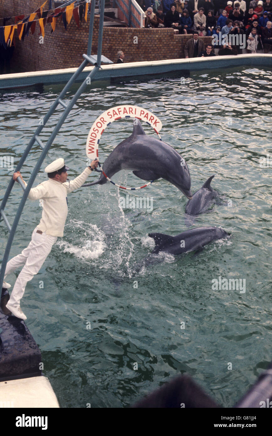 Windsor Safari Park Stock Photo - Alamy