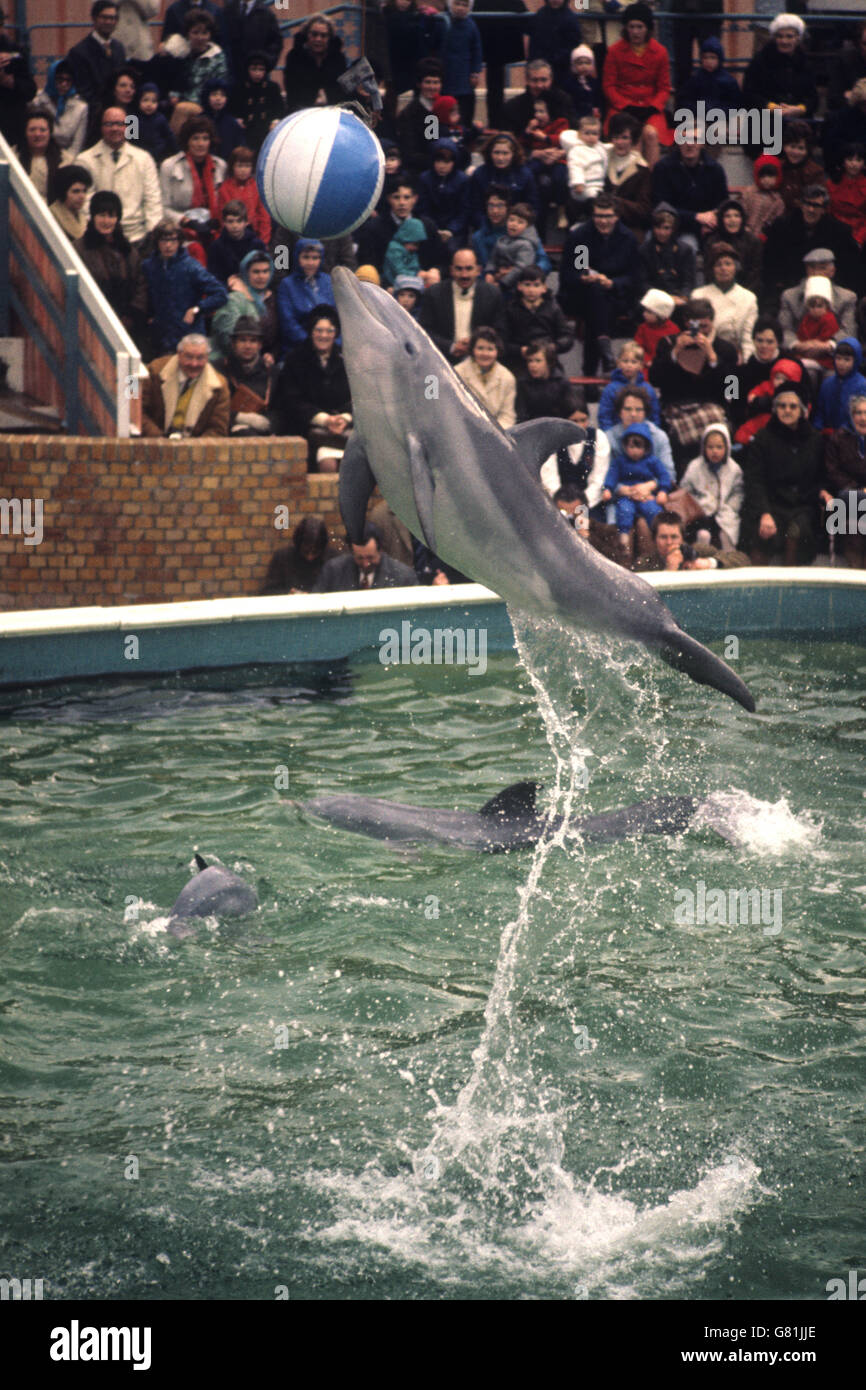 Windsor safari park hi-res stock photography and images - Alamy