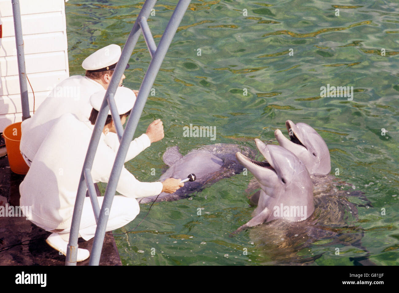 Windsor Safari Park High Resolution Stock Photography and Images - Alamy