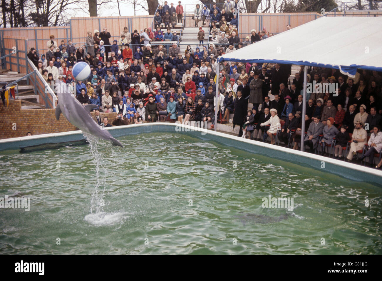 Windsor safari park hi-res stock photography and images - Alamy