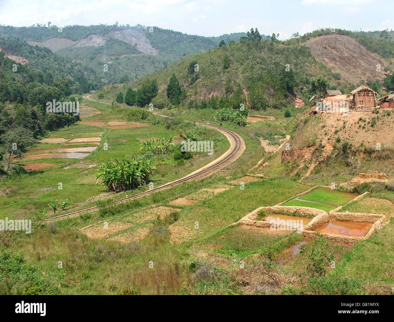 Rice paddy, Madagascar Stock Photo - Alamy