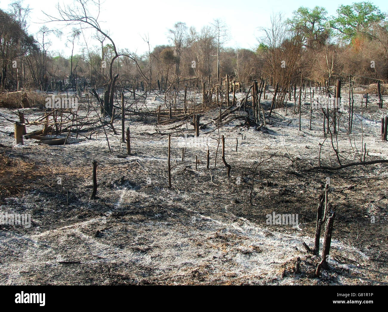 Slash and burn africa hi-res stock photography and images - Alamy