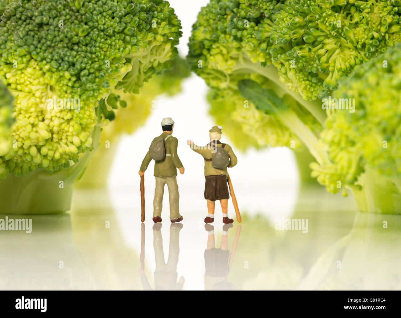 miniature figures older people walking on broccoli trees isolated on ...