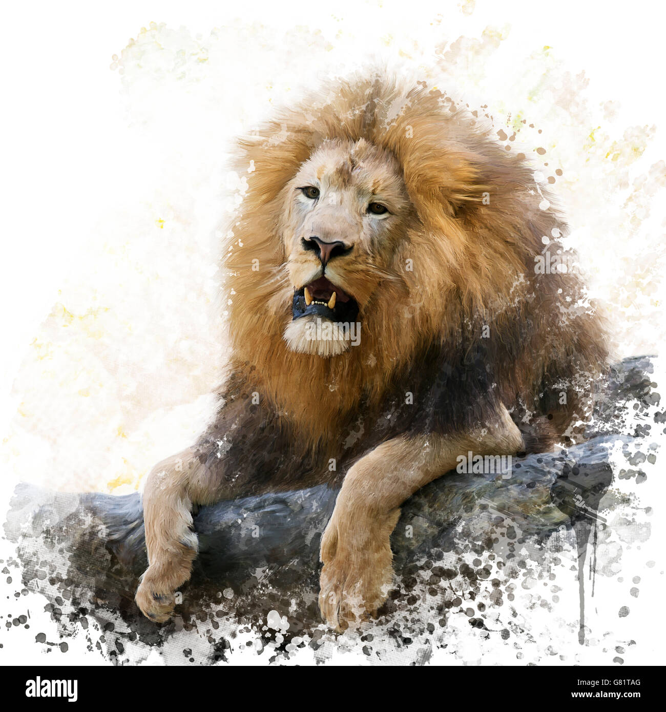 digital painting of resting lion Stock Photo - Alamy