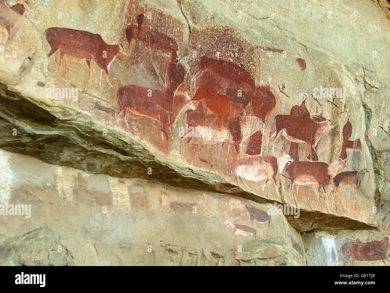 San Bushmen Cave Rock Art Paintings High Resolution Stock Photography ...