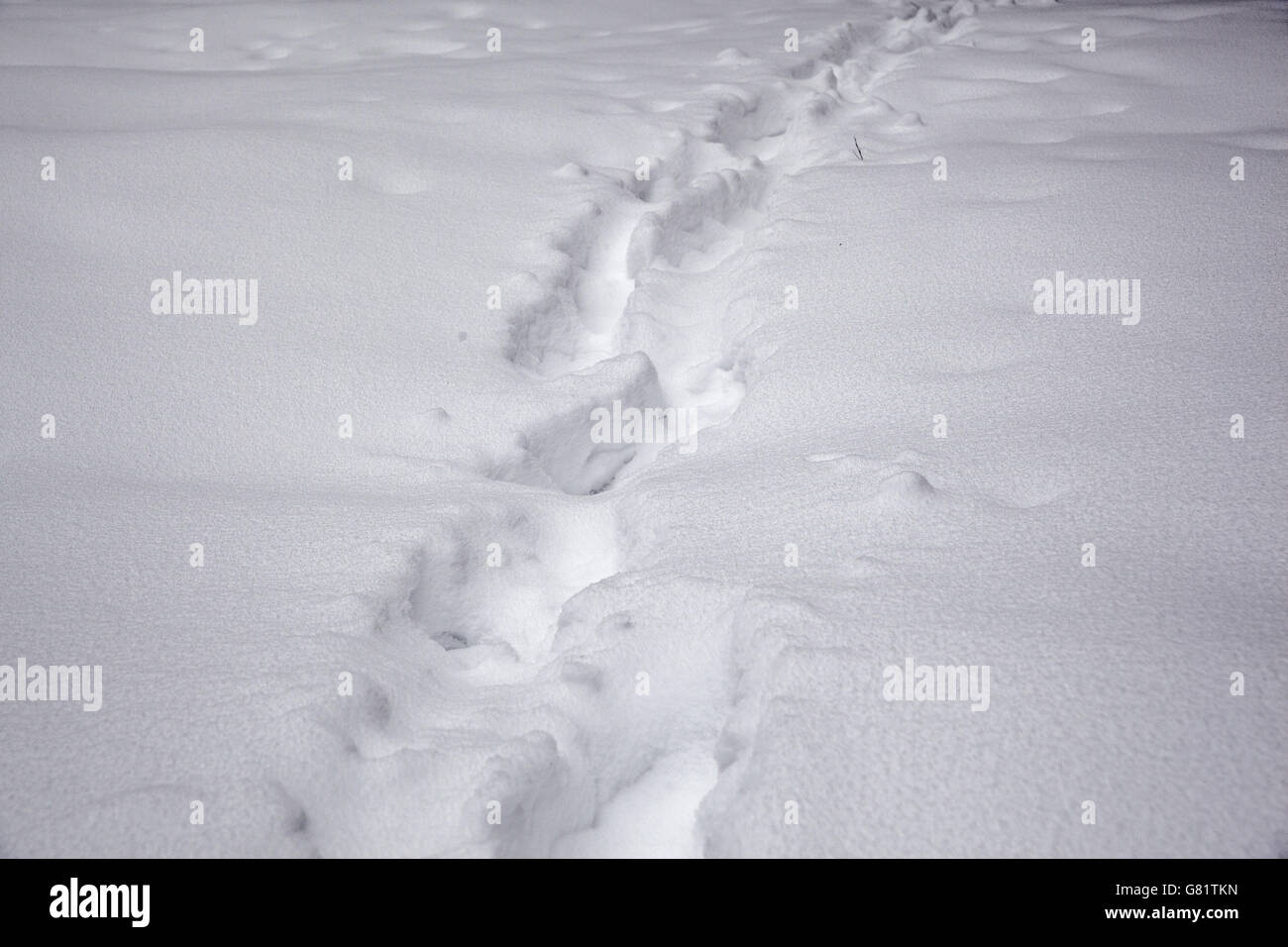 Outdoor footpath hi-res stock photography and images - Alamy