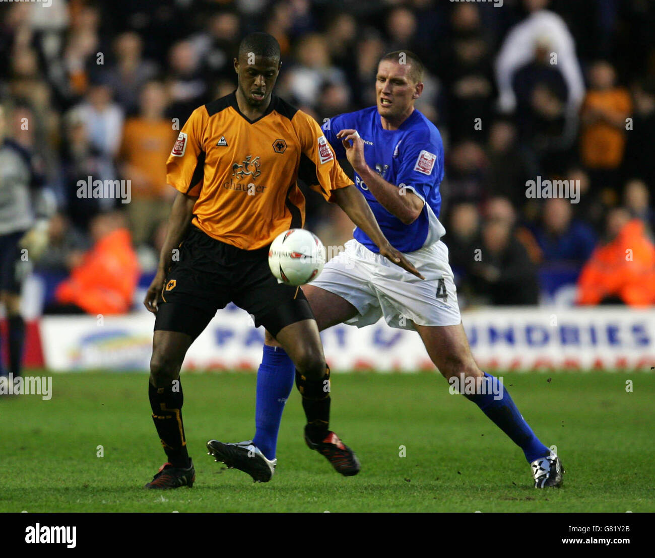 Jason de vos hi-res stock photography and images - Alamy