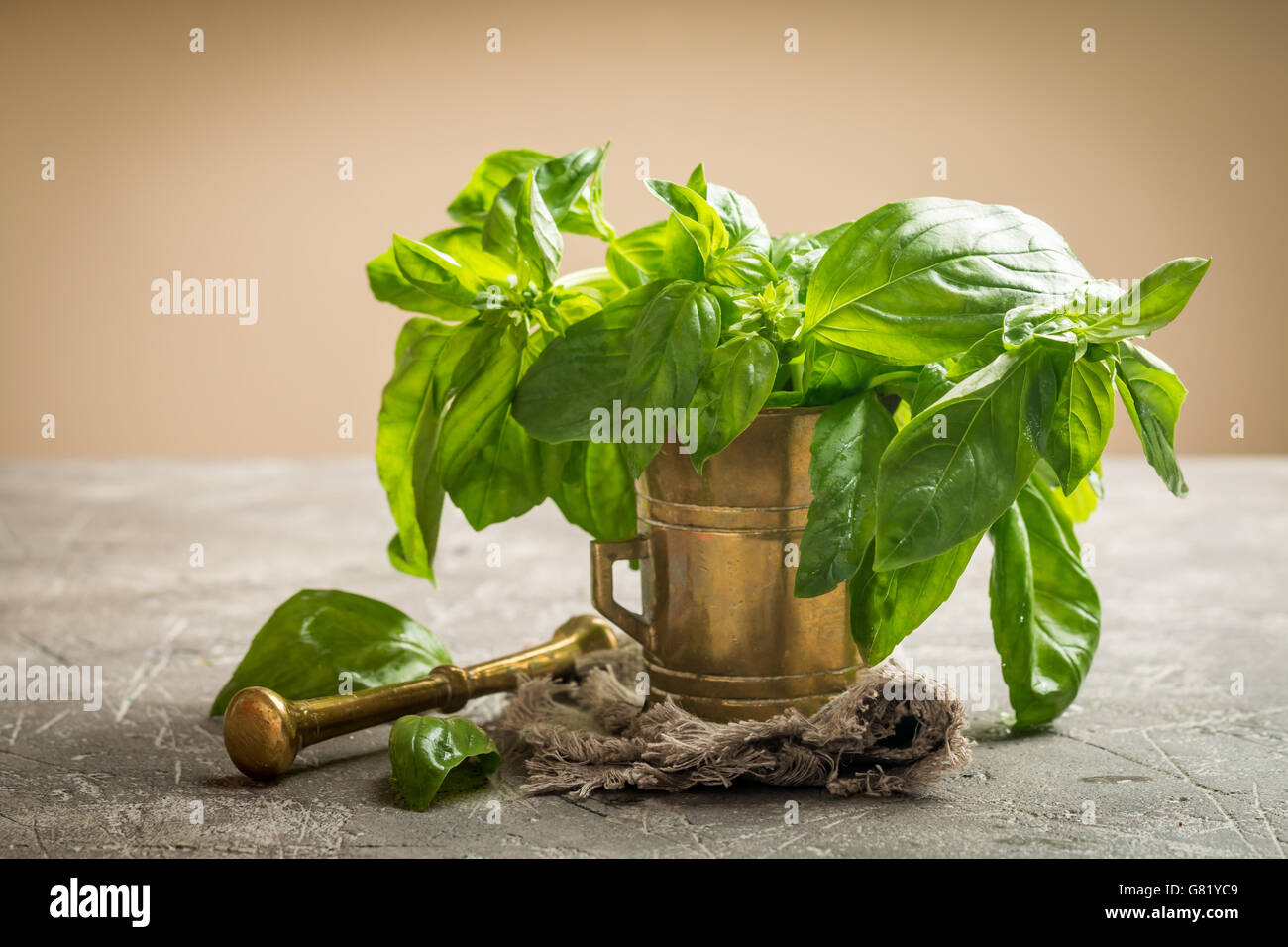 Fresh green basil in old metal mortar Stock Photo - Alamy
