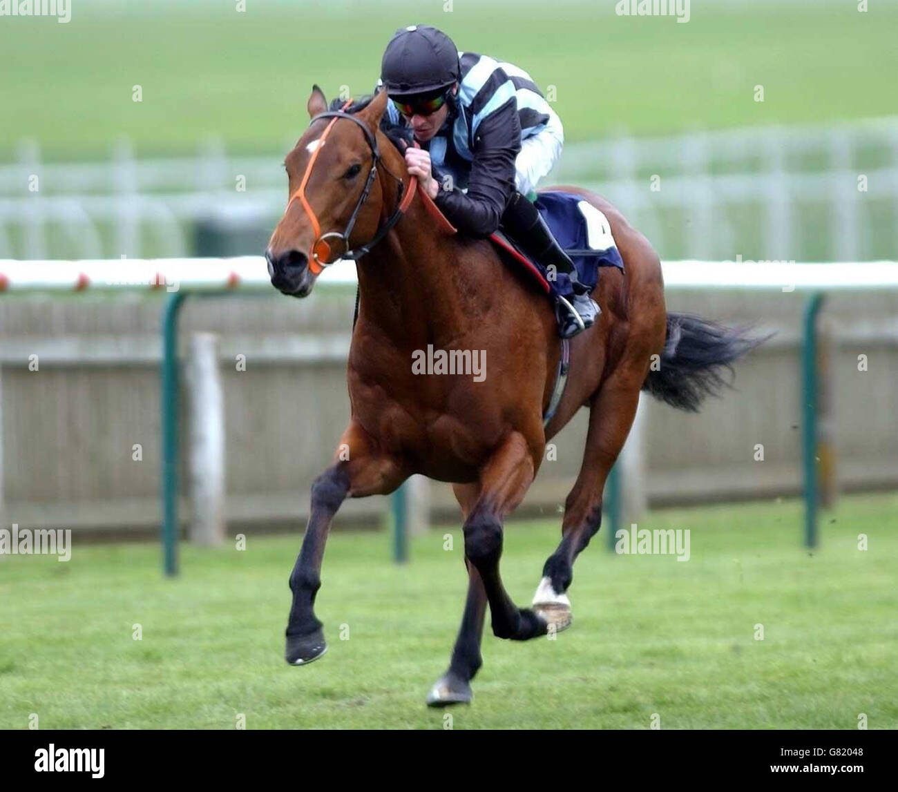 Horse Racing - Craven Meeting - Newmarket Rowley Mile Racecourse. Cool ...