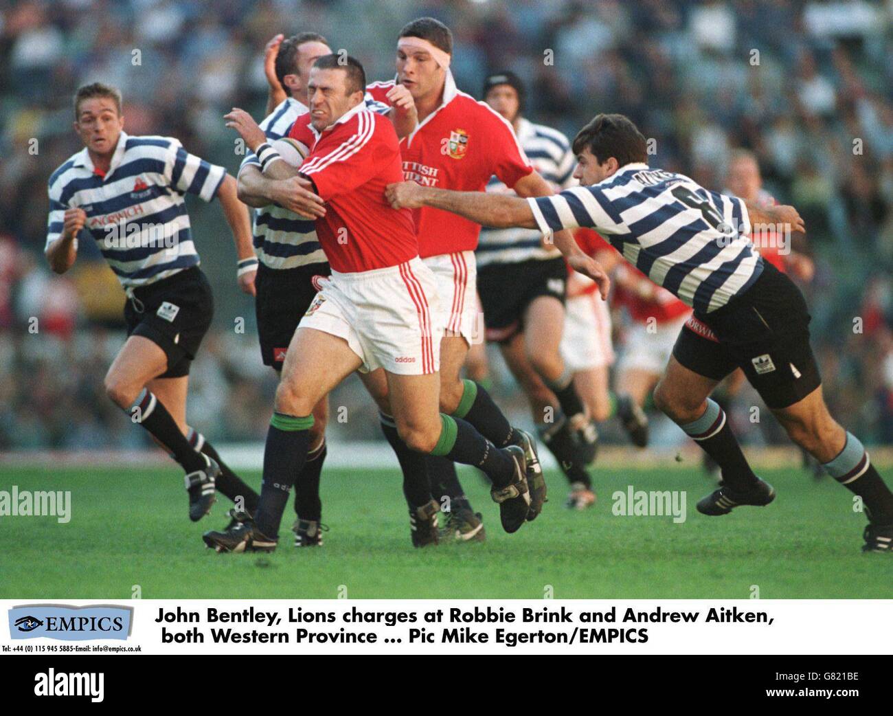 Lions charges at robbie brink and andrew aitken hi-res stock ...