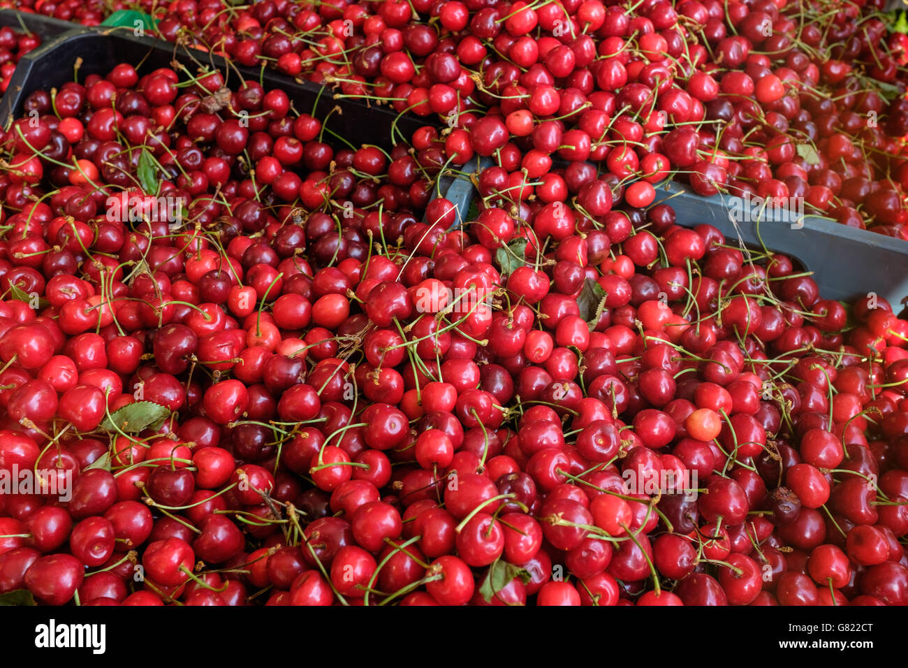 Fresh cherries on farmers market Stock Photo - Alamy
