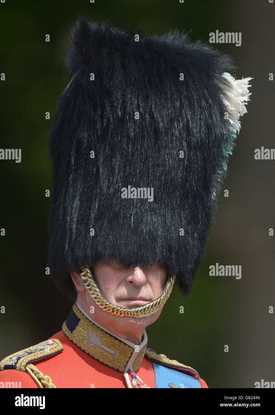 The Prince of Wales, Colonel of Welsh Guards, leads the Welsh Guards ...