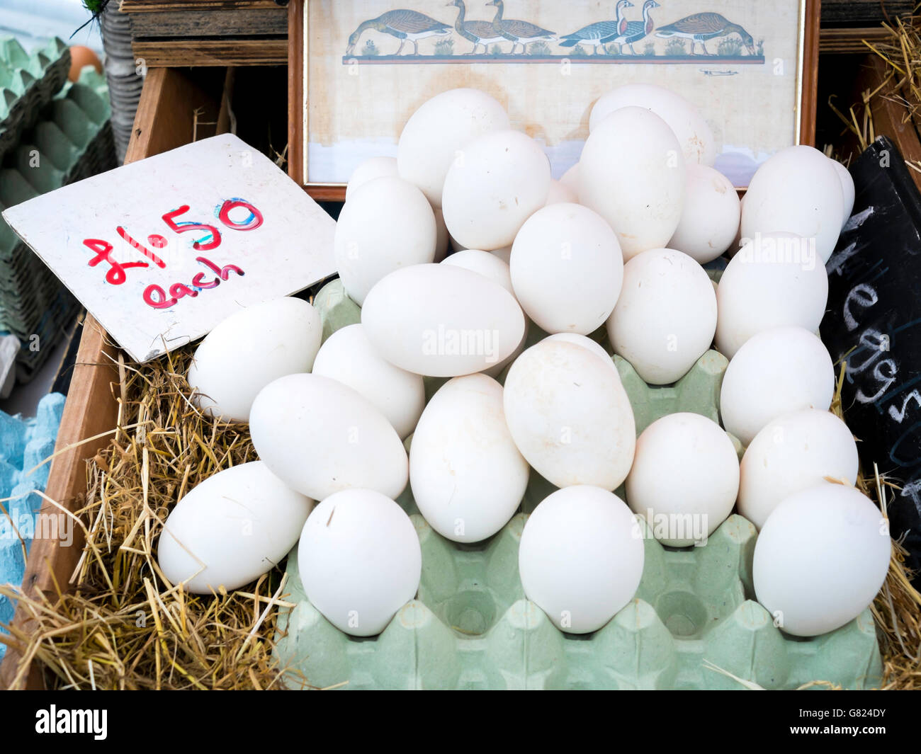 Egg food stall hi-res stock photography and images - Alamy