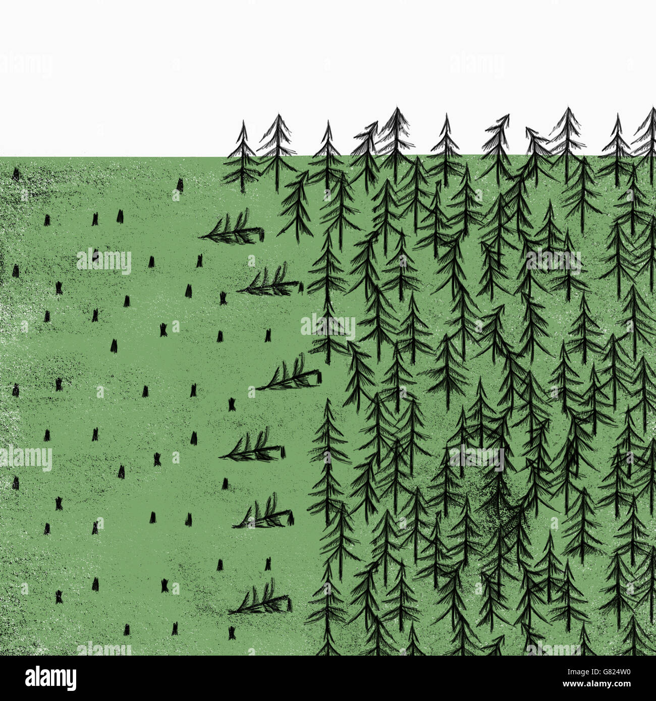 View of deforestation against white background Stock Photo - Alamy
