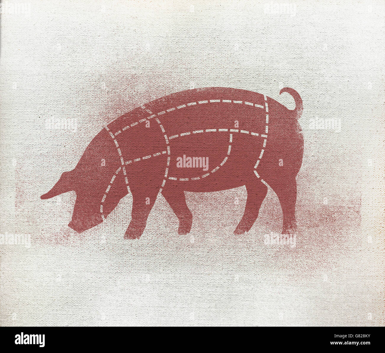 Butcher's diagram of pig against white background Stock Photo - Alamy