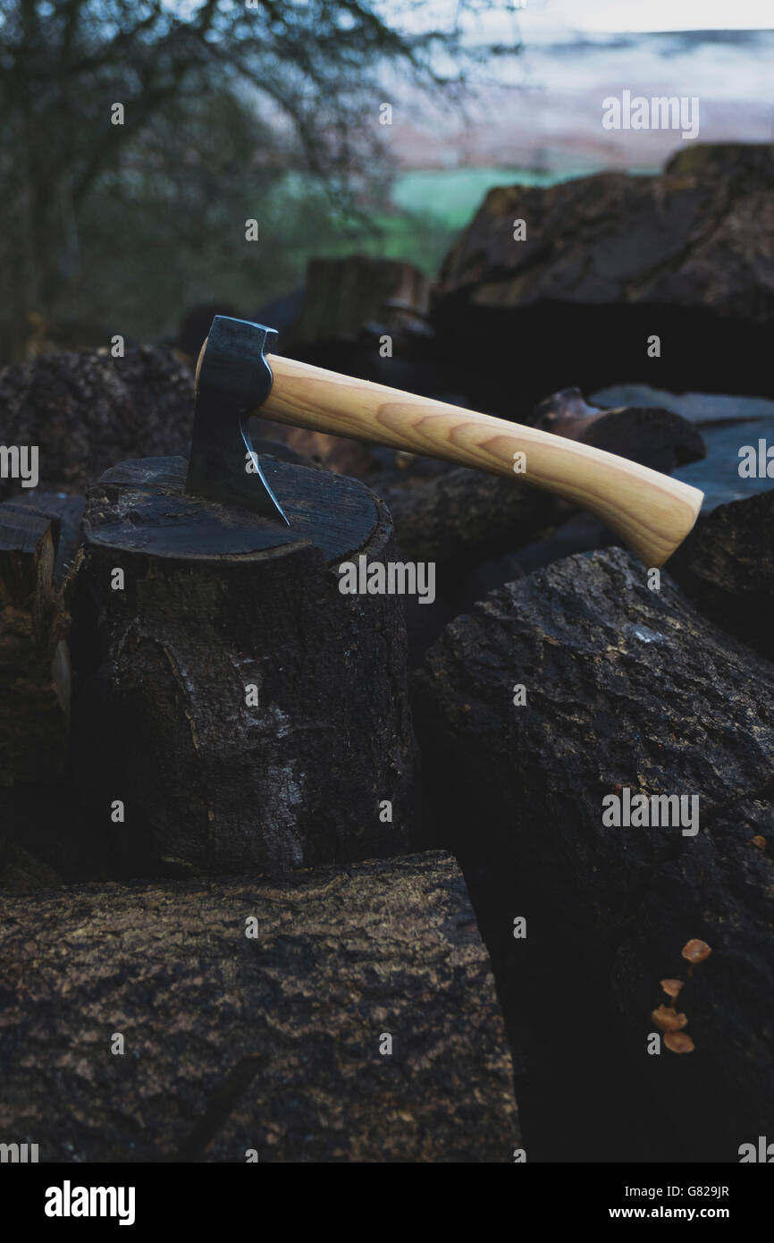 Log in forest hi-res stock photography and images - Alamy