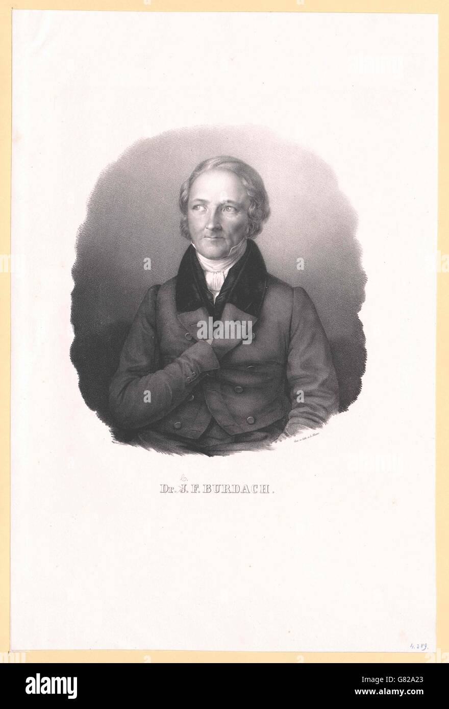 Burdach hi-res stock photography and images - Alamy